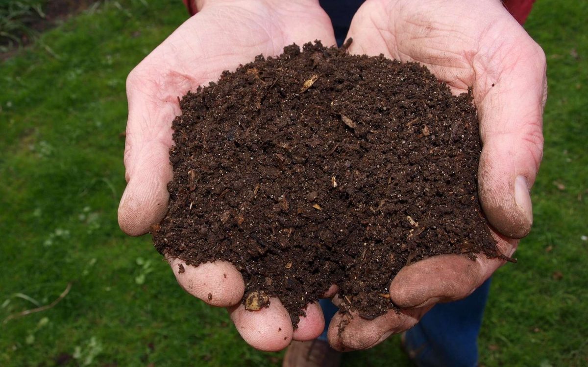 Comment réussir son compost ? - Jardinage Bio